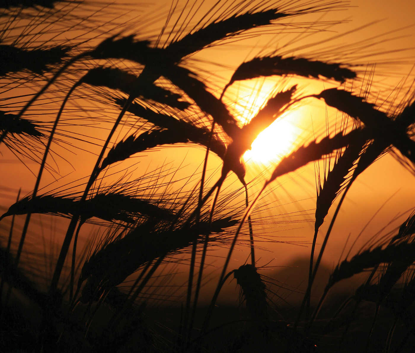Δήμος Αθηένου – Δήμος Αθηένου